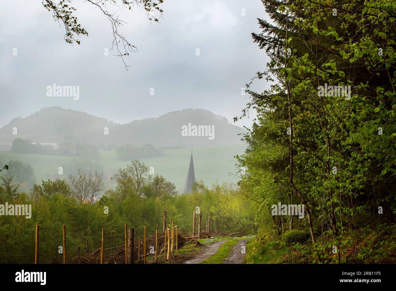 Landscape hills idyllic fog hi-res stock photography and images - Alamy