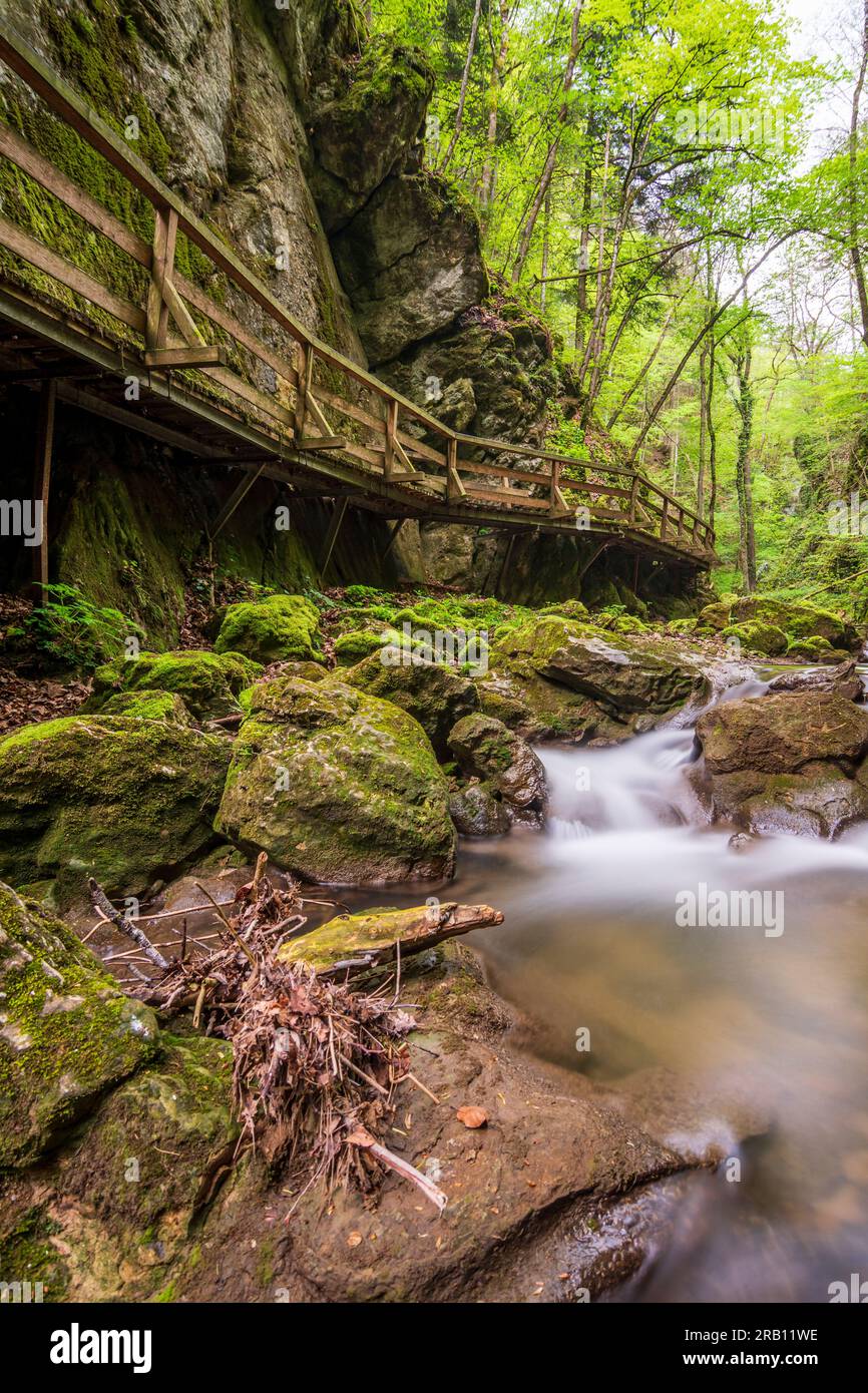 Gorge johannesbachklamm in wiener alpen hi-res stock photography and ...