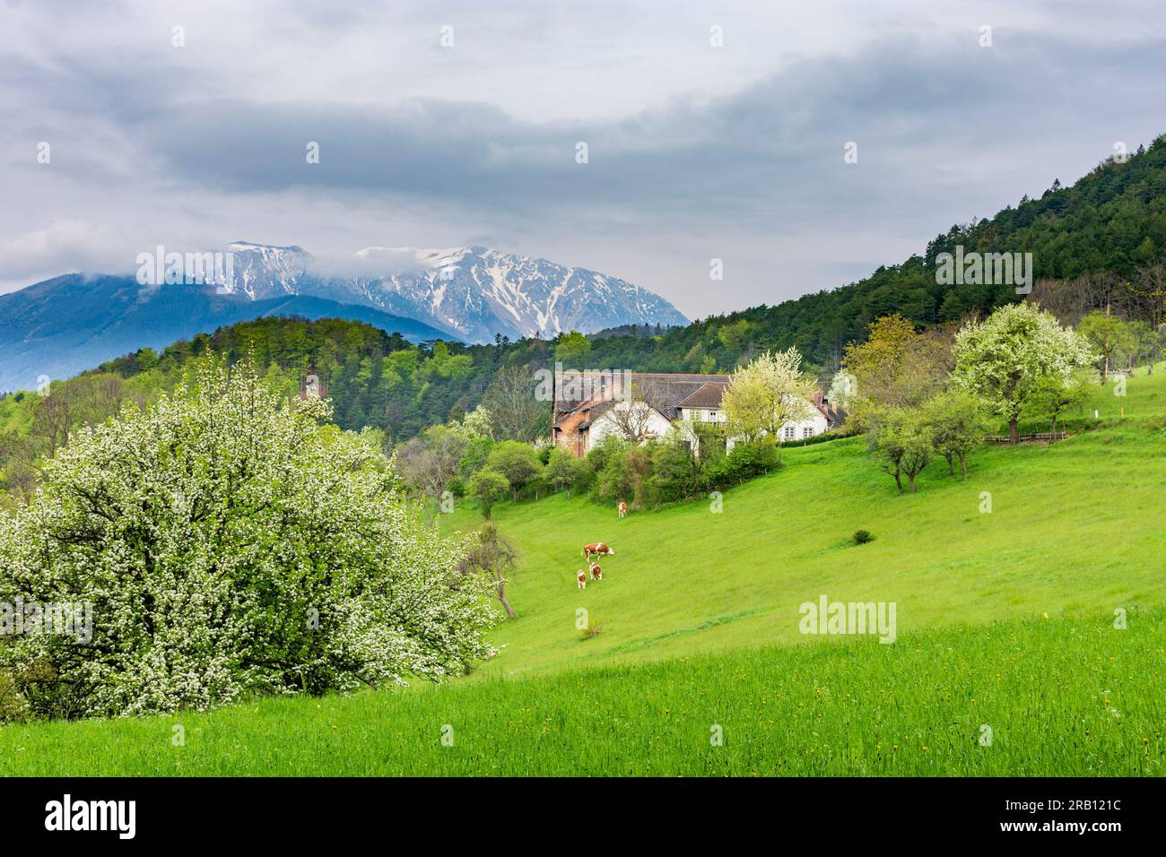 Naturpark sierningtal flatzer wand in wiener alpen hi-res stock ...
