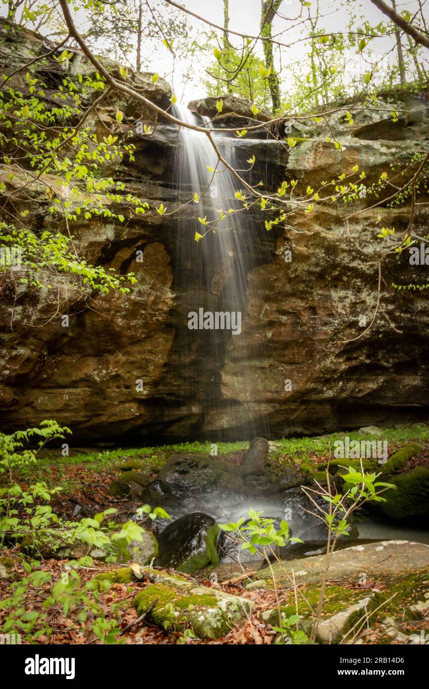 Waterfall surrounded by plants Stock Photo - Alamy