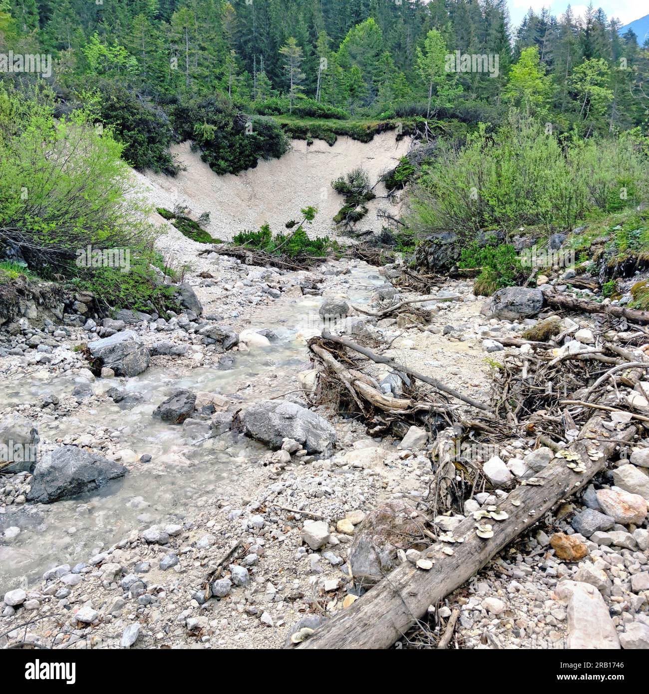 Flood-ravaged streambed in Berglein Valley, Wetterstein Mountains Stock ...