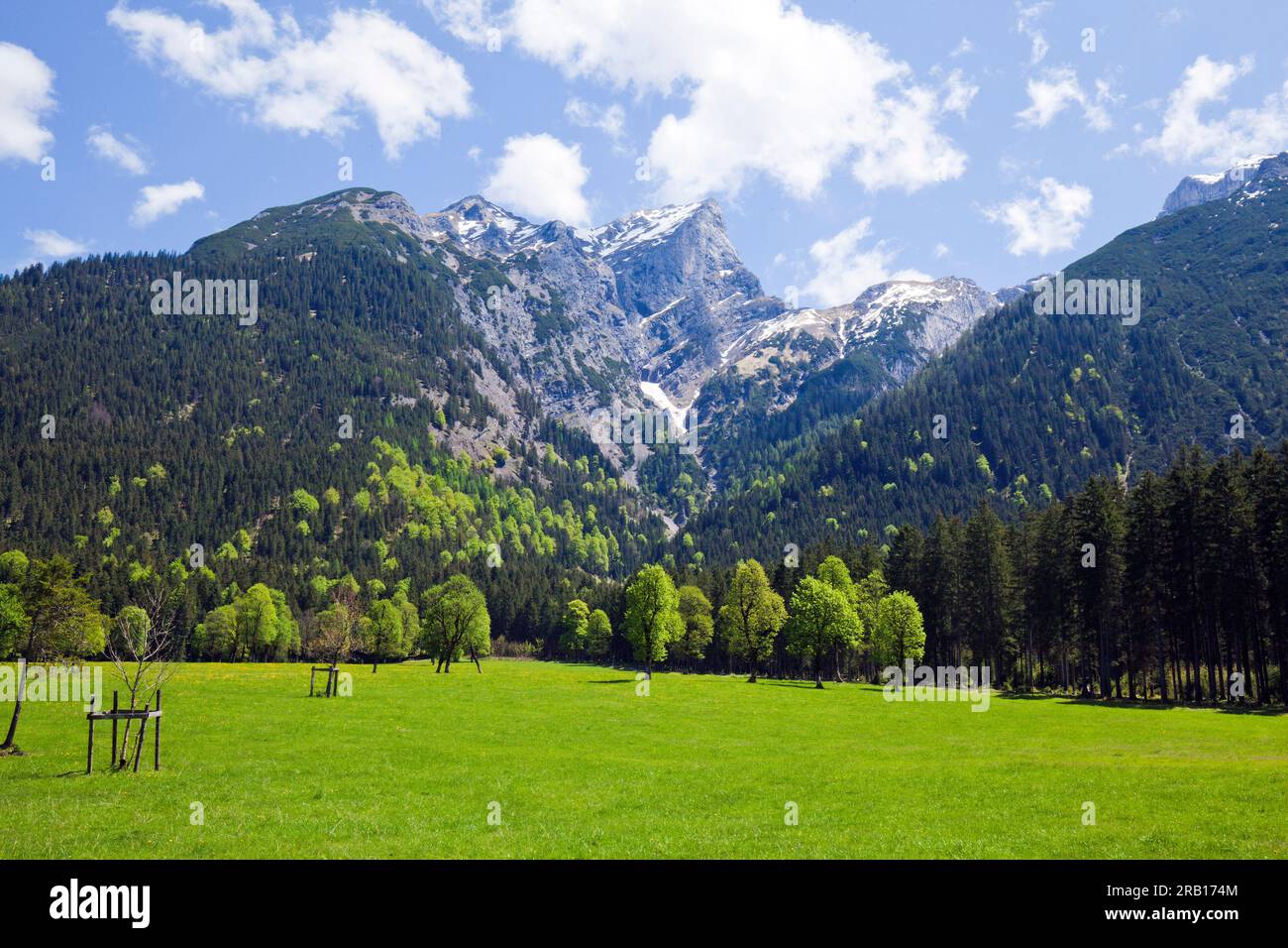 Spring in the great maple grounds hi-res stock photography and images ...
