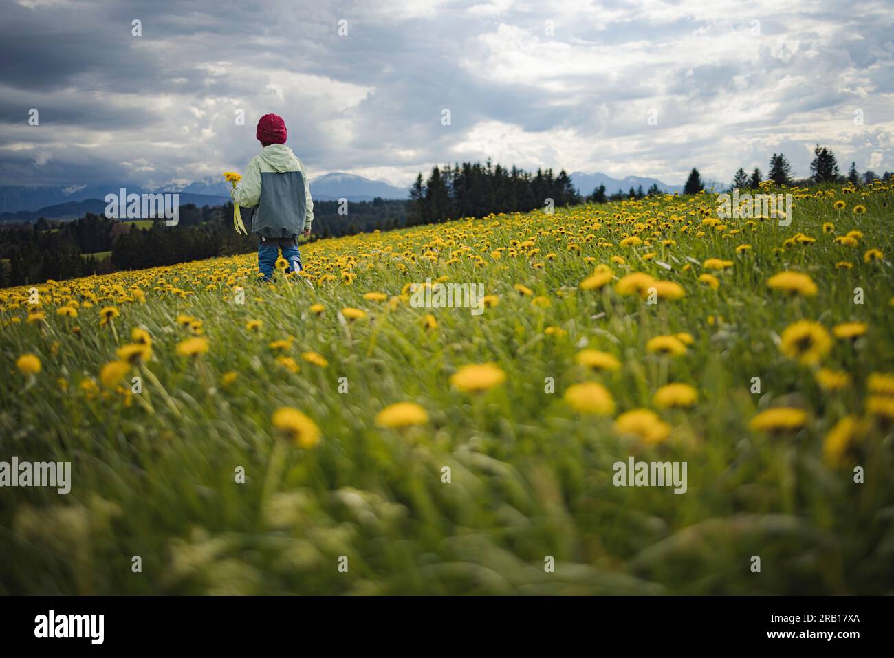 Boy flowers behind hi-res stock photography and images - Alamy