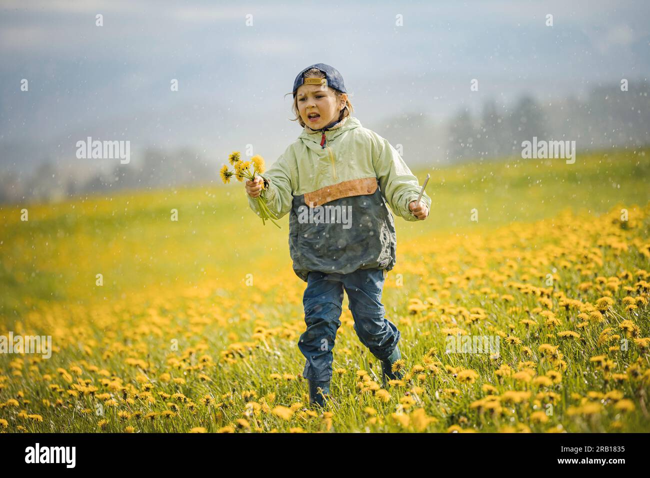 Boy running on a meadow hi-res stock photography and images - Alamy