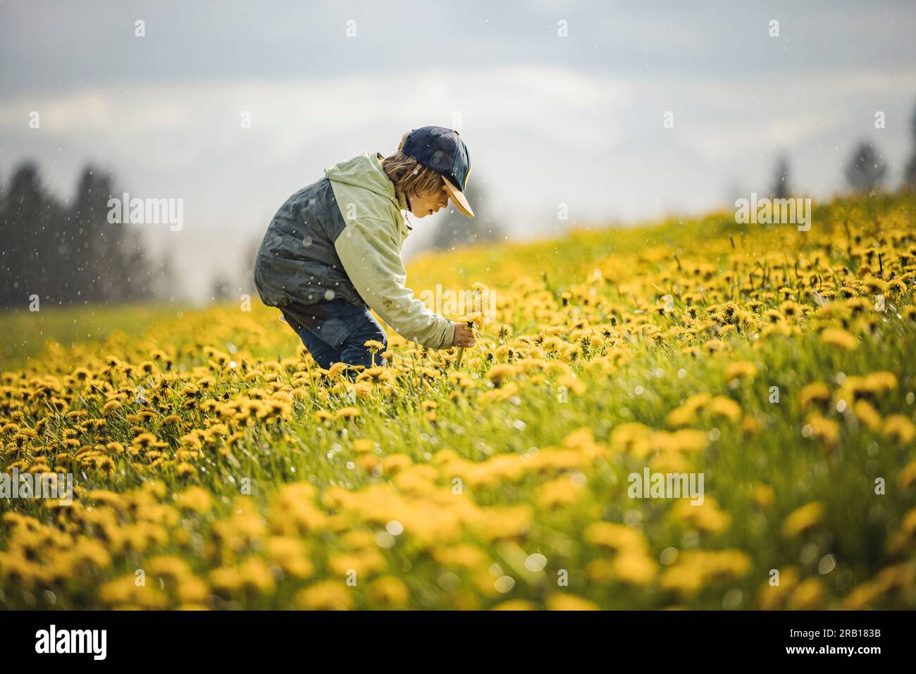 Boy outdoor picking hi-res stock photography and images - Alamy