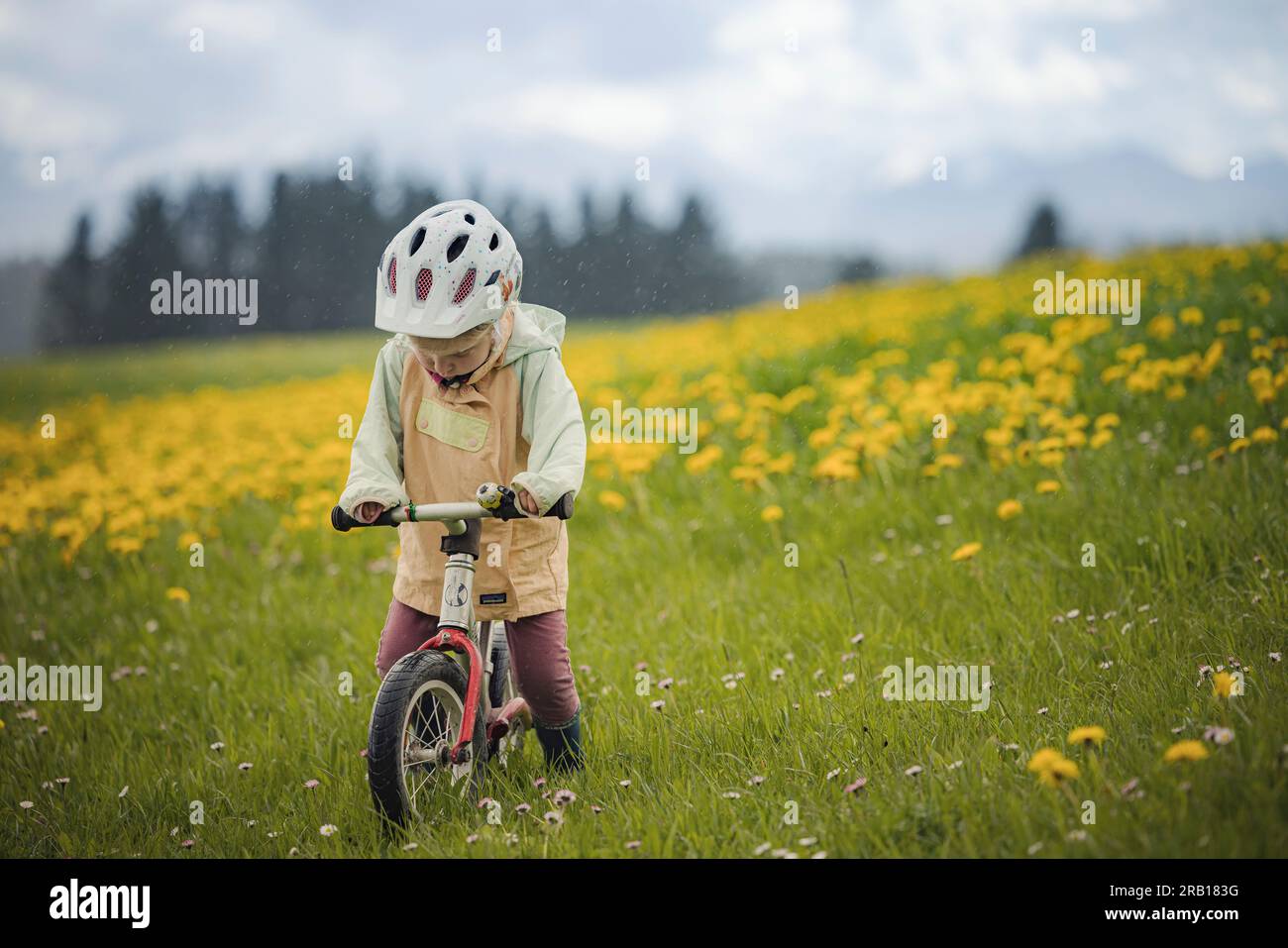 Little girl with running wheel Stock Photo - Alamy Little girl with running wheel Stock Photo - Alamy