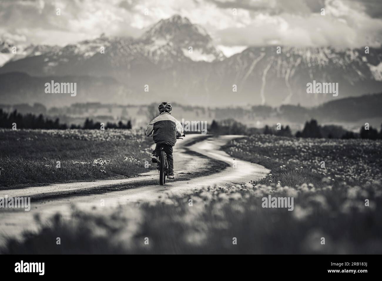 Back view boy on bicycle hi-res stock photography and images - Alamy