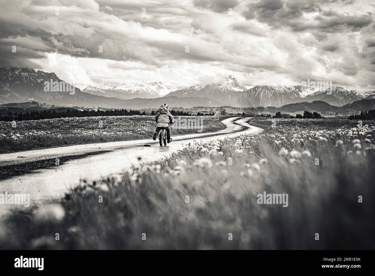 Little girl with the running wheel Stock Photo - Alamy Little girl with the running wheel Stock Photo - Alamy