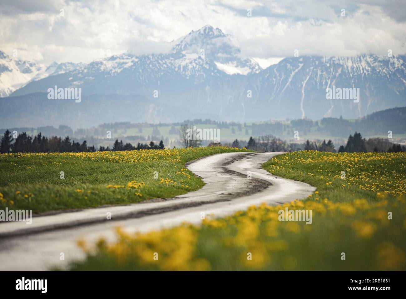 Flowers field trail pathway in hi-res stock photography and images - Alamy