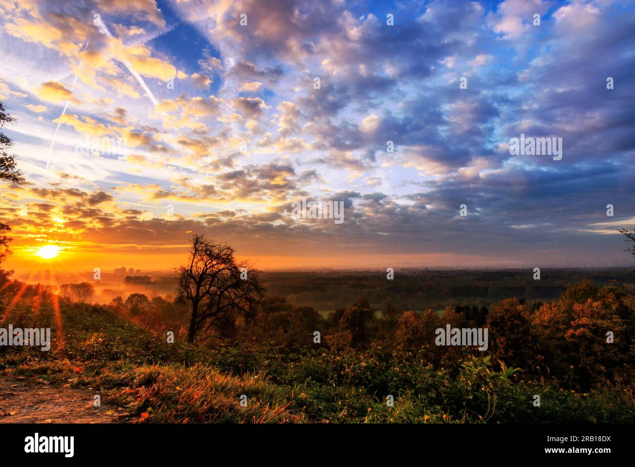 Sunrise in the green belt of frankfurt am main hi-res stock photography and images - Alamy