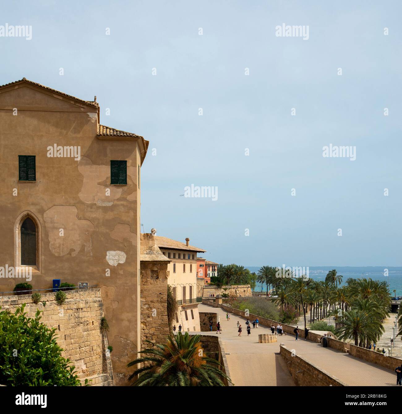Building near the Cathedral of Palma, Mallorca Stock Photo - Alamy