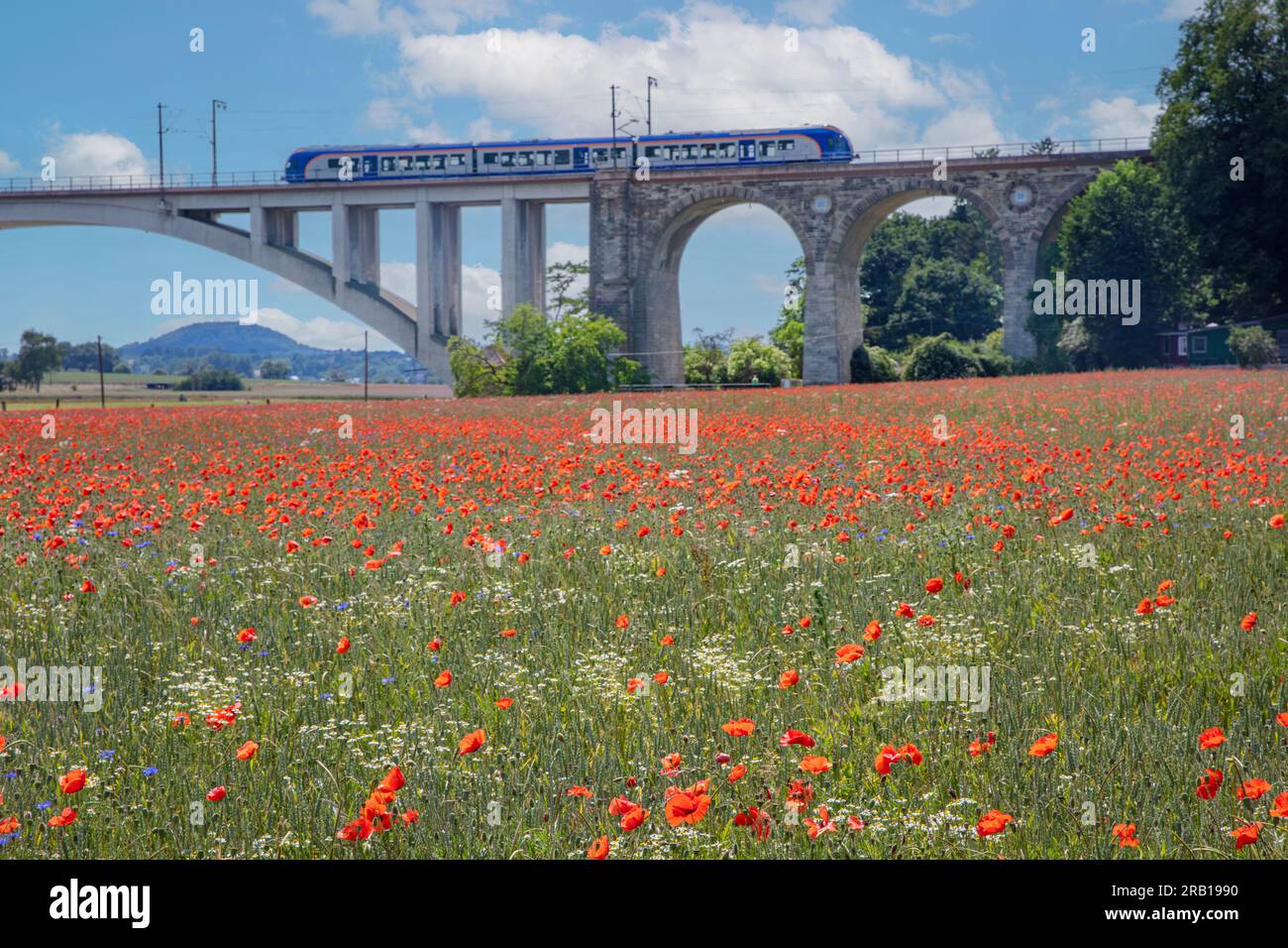 Viaduct train hi-res stock photography and images - Alamy