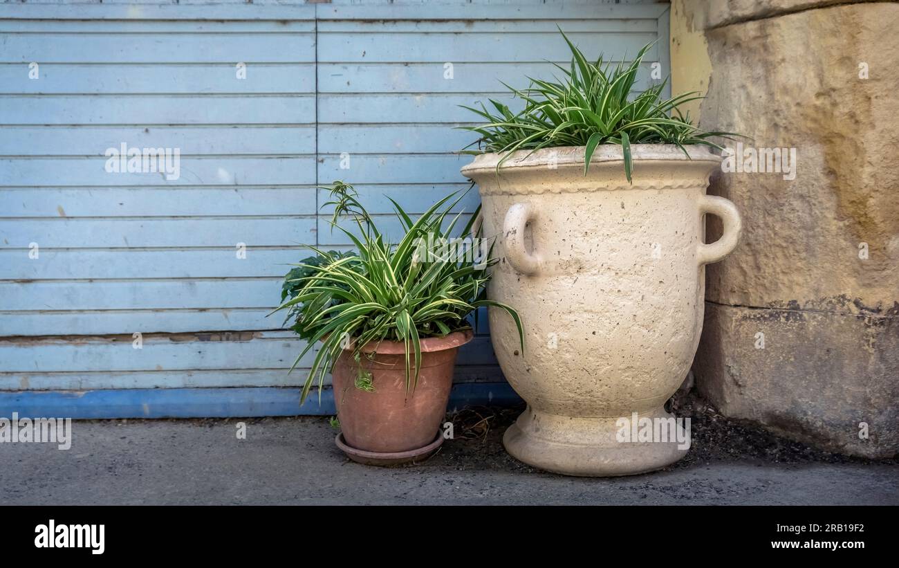 Mer green hi-res stock photography and images - Alamy