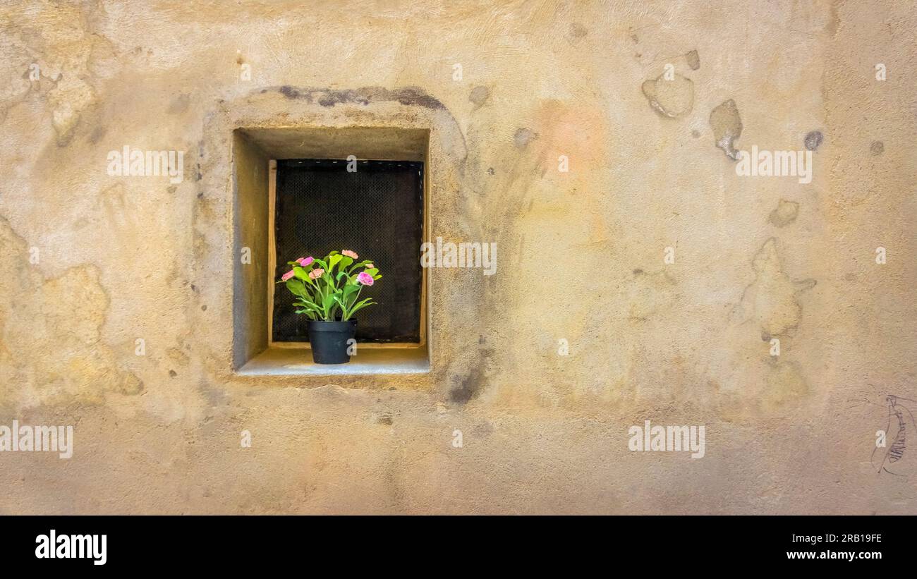 Flowers in the window in Peyriac de Mer Stock Photo - Alamy