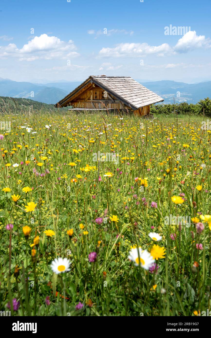 Typical hut on mount peller europe hi-res stock photography and images ...