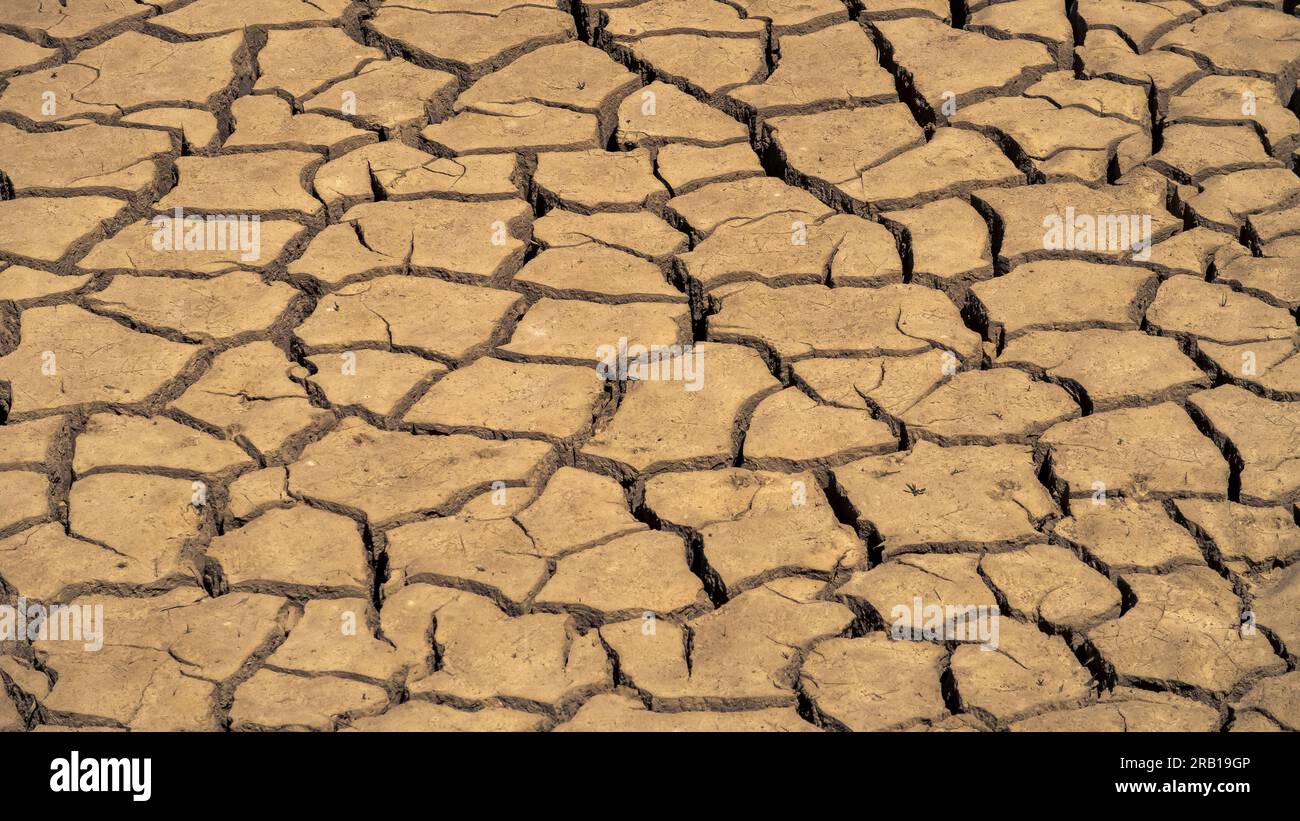 Dried up lake in Parc Paysager de l'Etang Salin near Coursan Stock ...