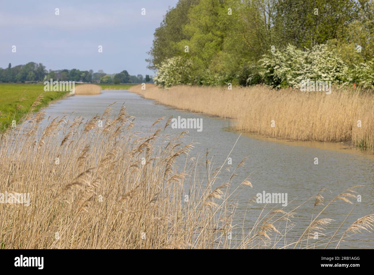 Drainage canal landscape hi-res stock photography and images - Alamy