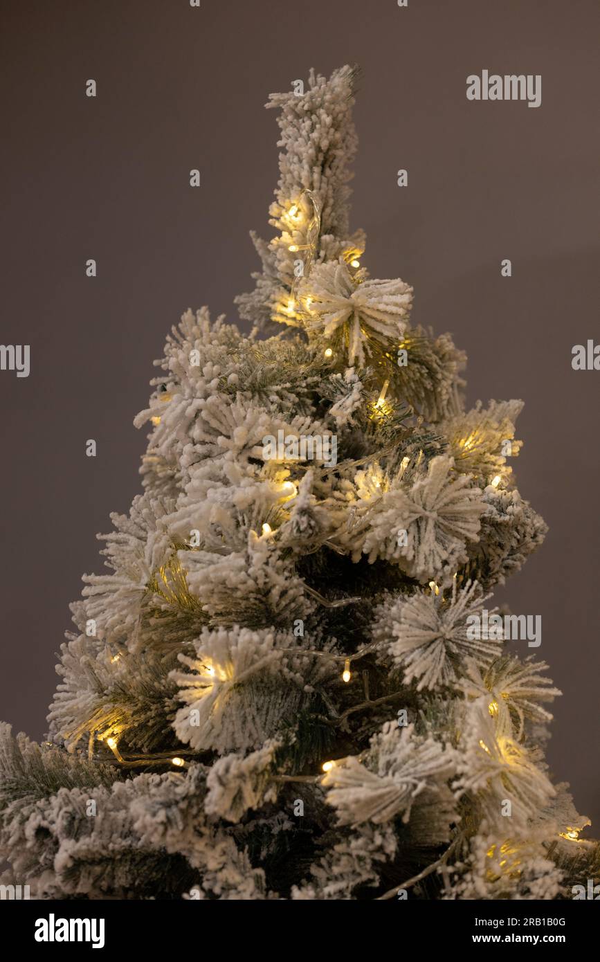 Lighted up tree hi-res stock photography and images - Alamy