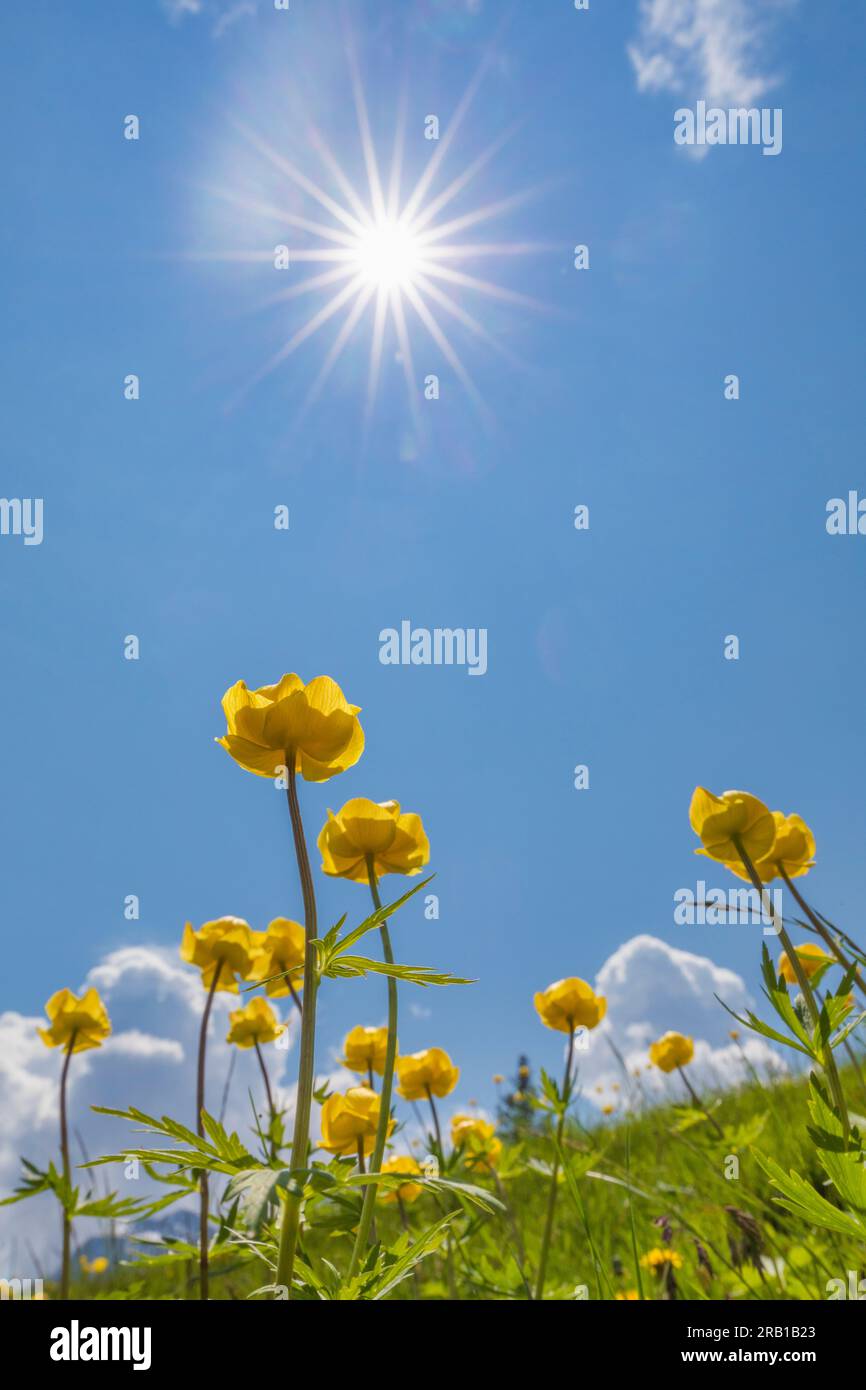 Maraia alm hi-res stock photography and images - Alamy