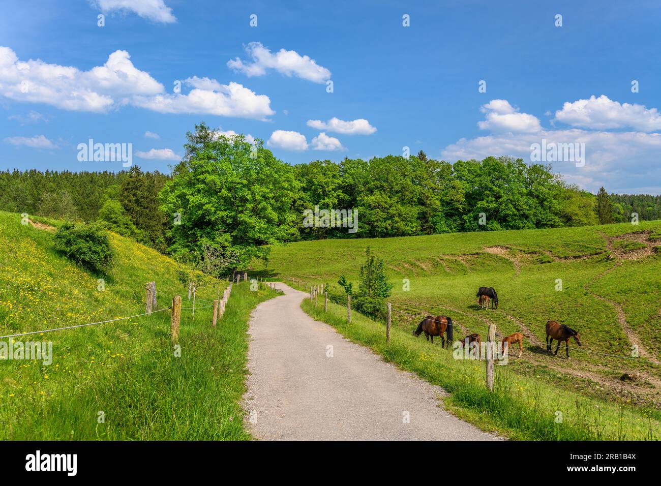District spielberg hi-res stock photography and images - Alamy
