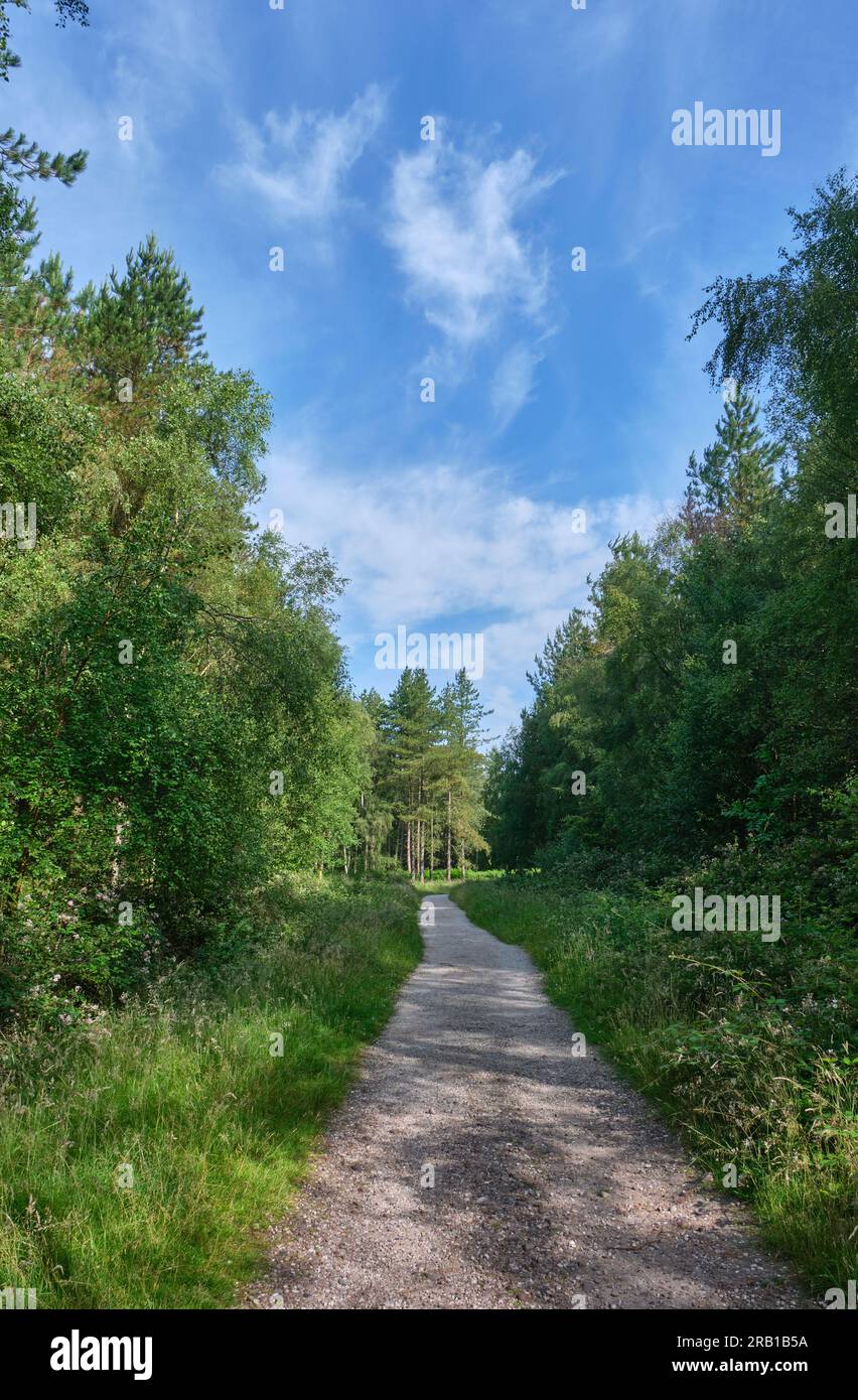 Cannock chase area of outstanding natural beauty hi-res stock ...