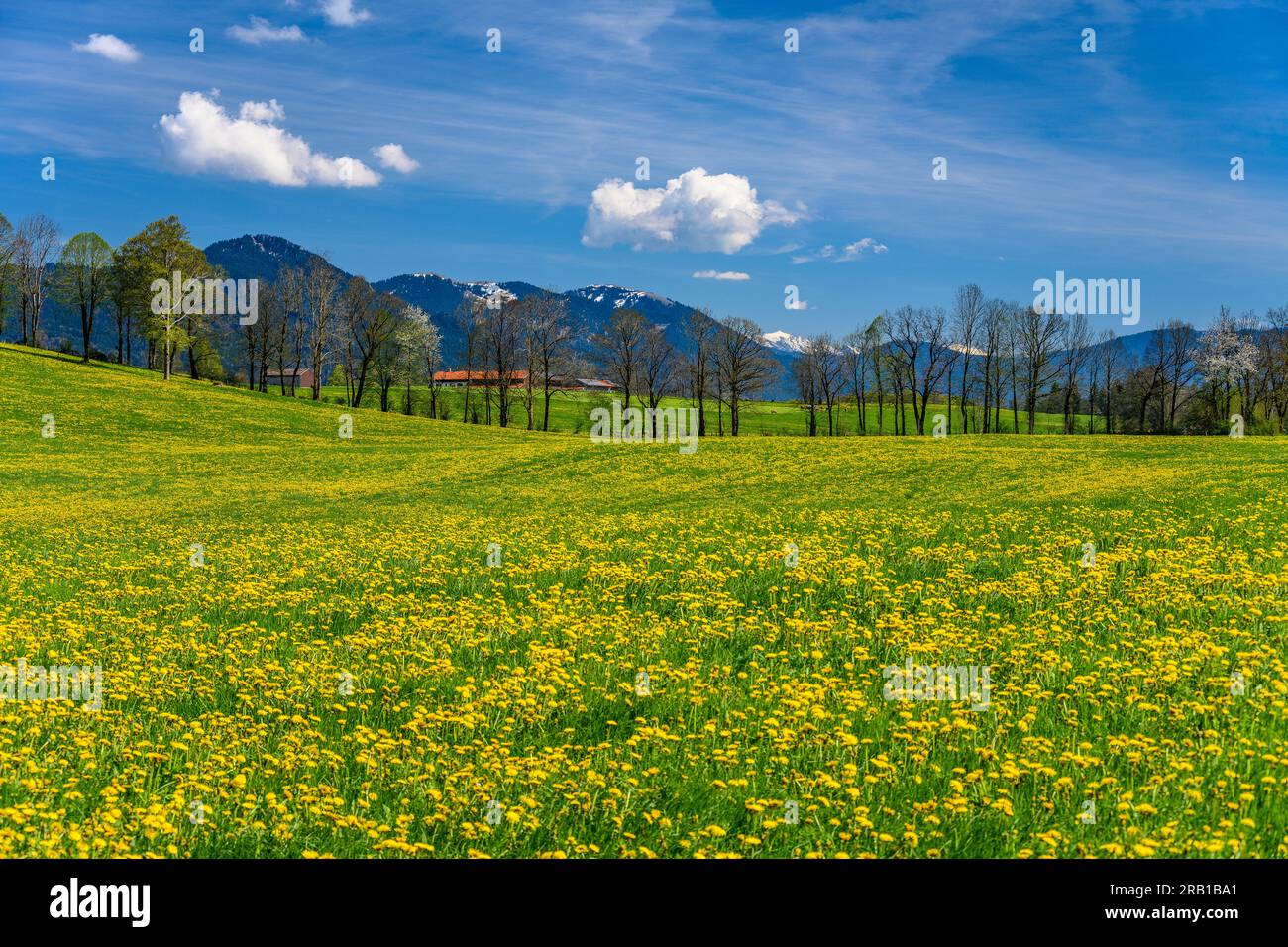 Pre alps landscap hi-res stock photography and images - Alamy