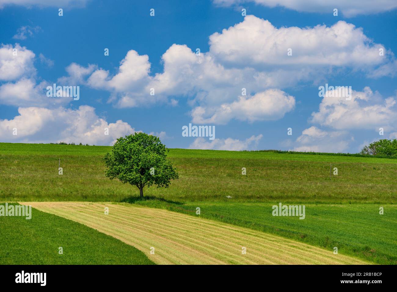 Germany, Bavaria, Tölzer Land, Icking, district Dorfen, cultural ...