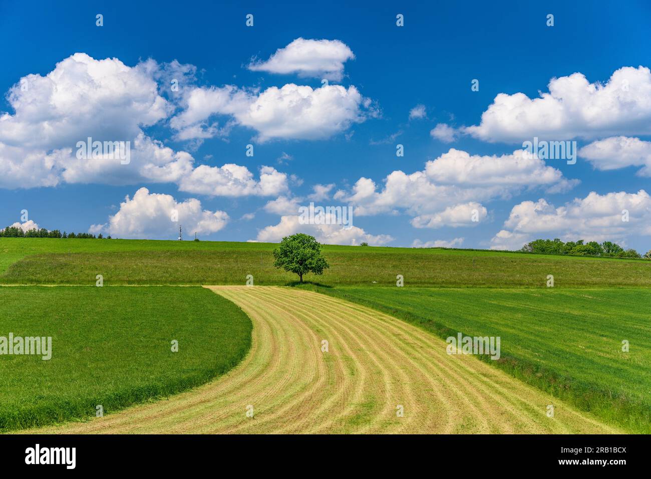 Germany, Bavaria, Tölzer Land, Icking, district Dorfen, cultural ...