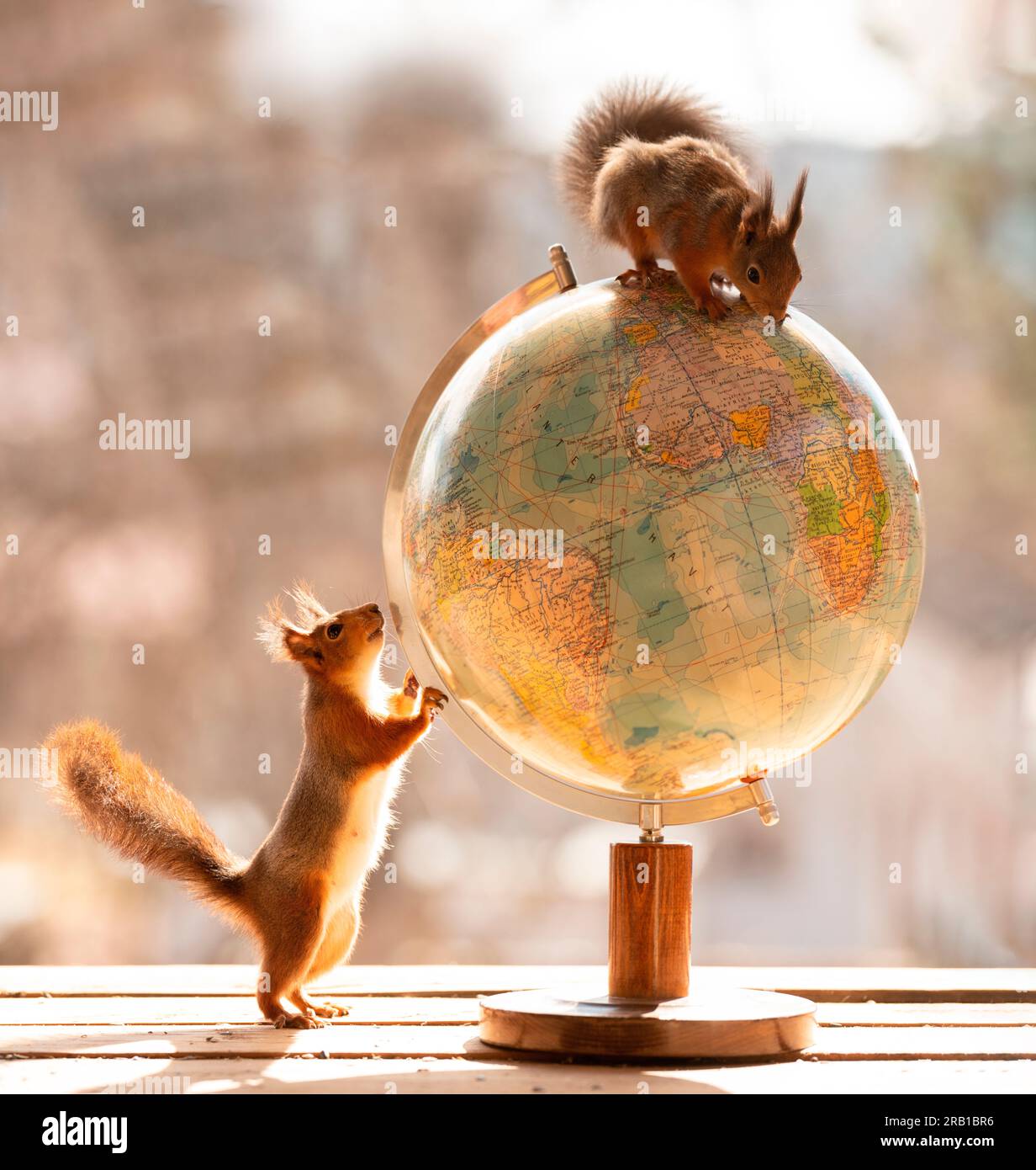 Travelling the globe hi-res stock photography and images - Alamy