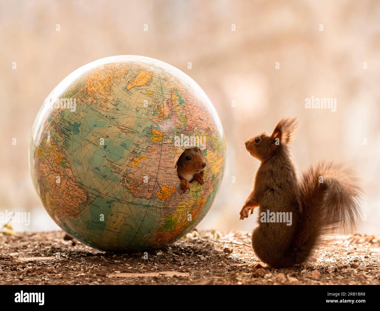 Hollow earth hi-res stock photography and images - Alamy