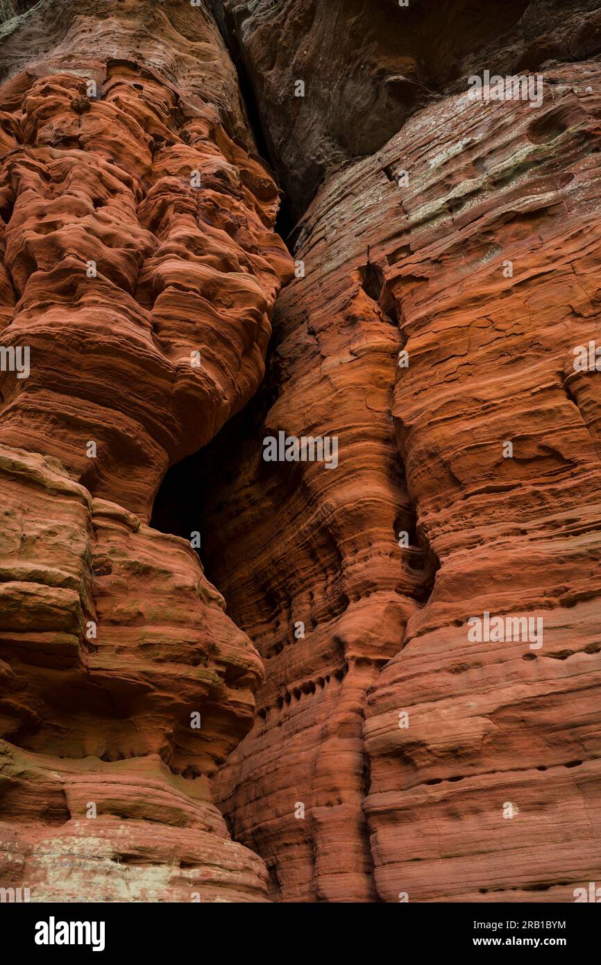 Altschlossfelsen, rock formation of red sandstone near Eppenbrunn ...