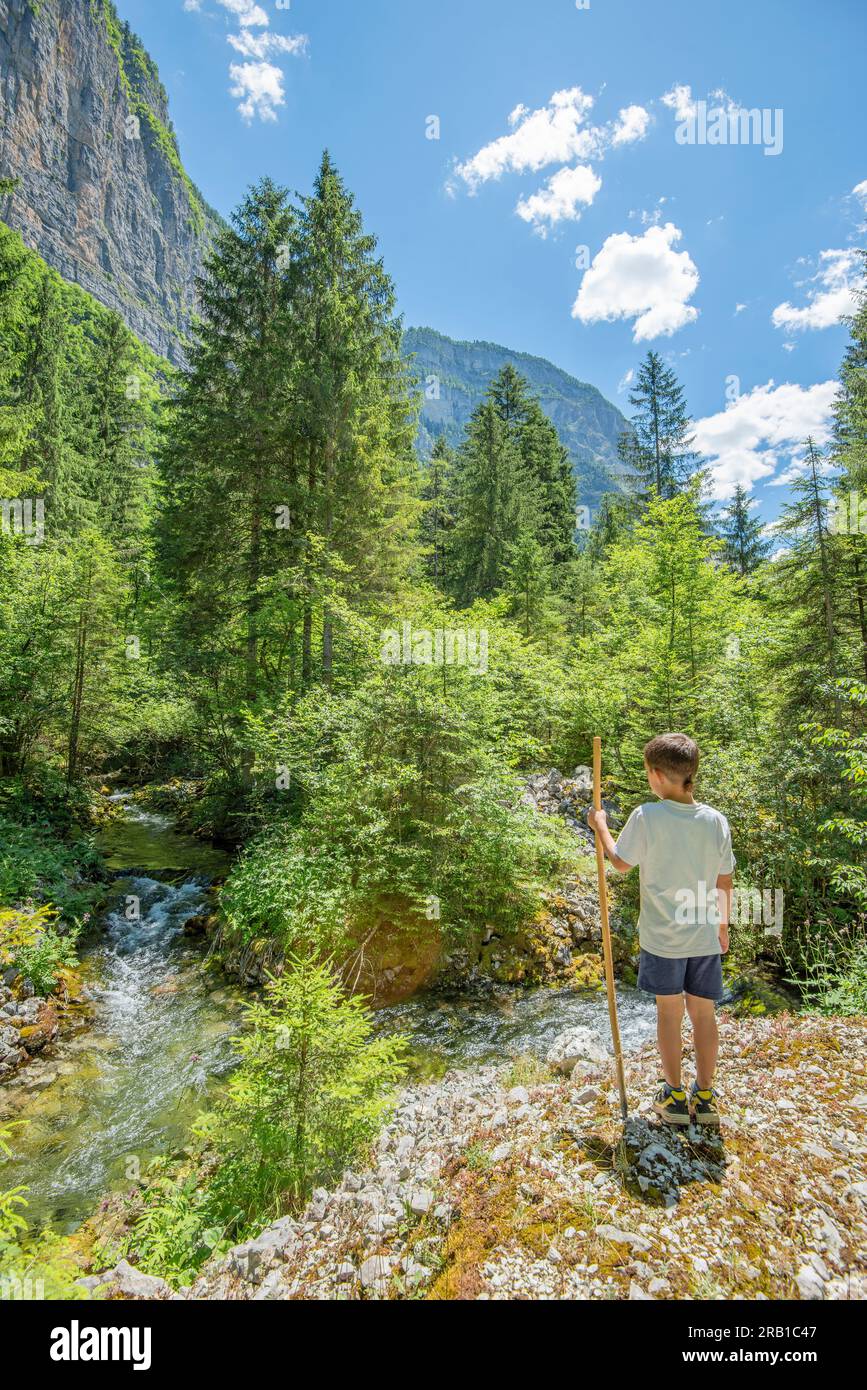 Observing nature hi-res stock photography and images - Alamy