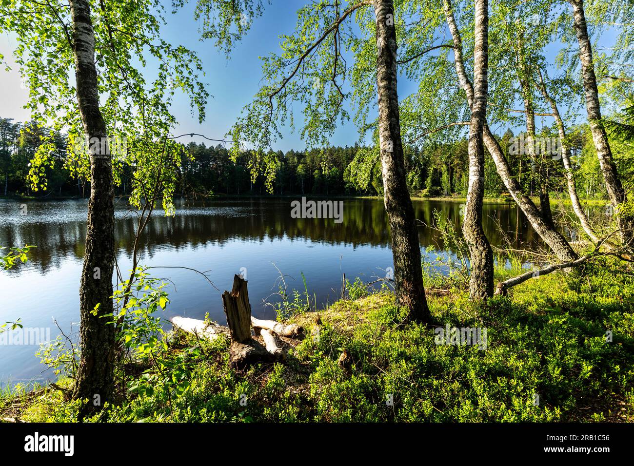 Czarne lake hi-res stock photography and images - Alamy