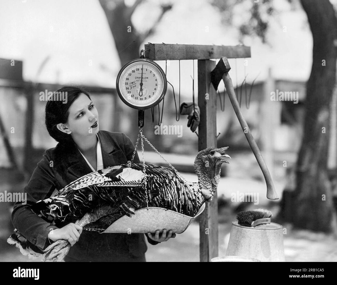 Hollywood, California: c. 1935. Hal Roach comedienne, Patsy Kelly,(1910 ...