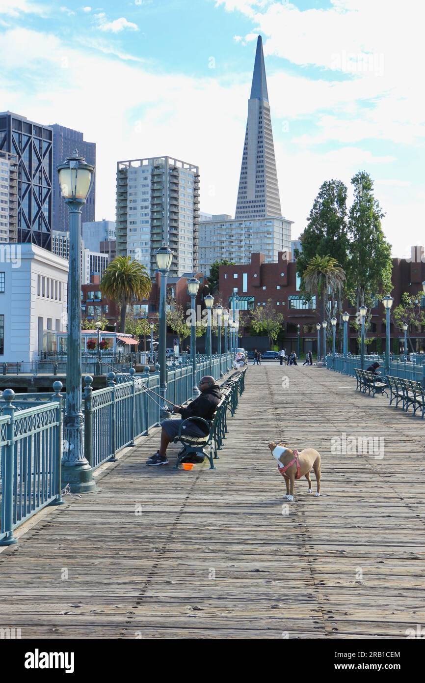 View along Pier 7 towards the Embarcadero with the Transamerica Tower ...