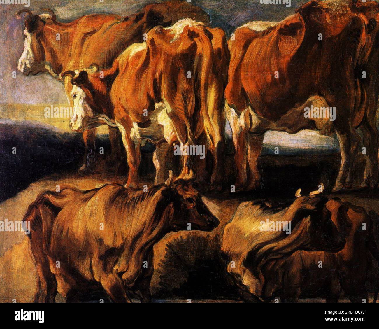 Five studies of cows 1624 by Jacob Jordaens Stock Photo - Alamy