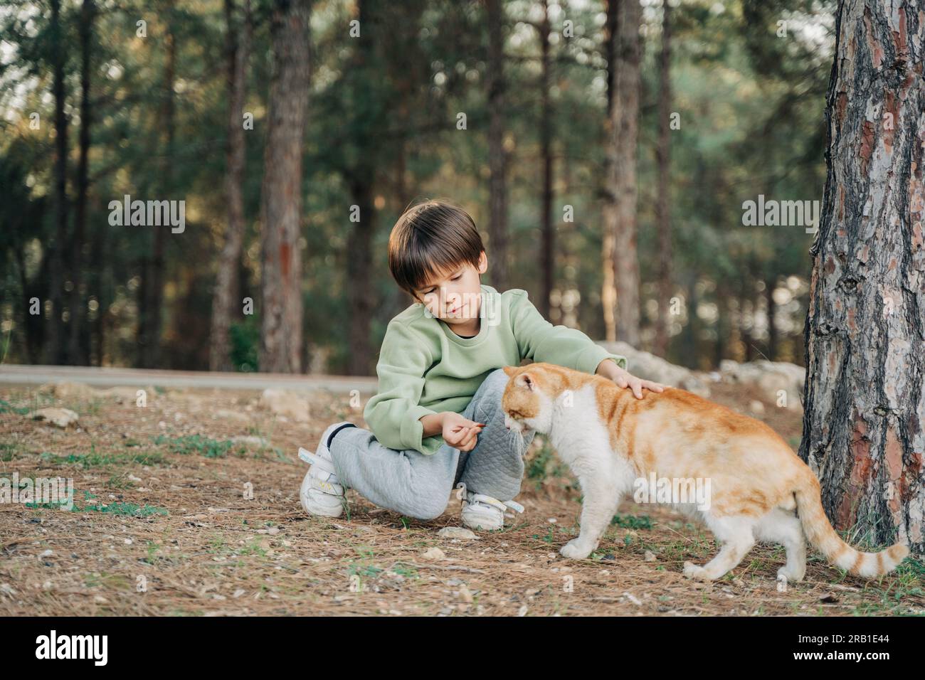 Elementary school kid petting feeding a stray cat in the city park ...