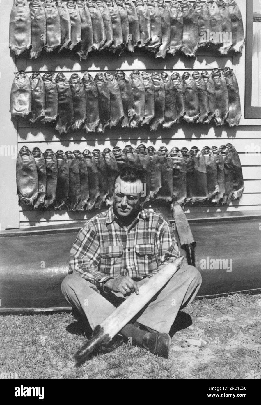 United States: 1942 A man sitting in front of his spring trapping catch ...