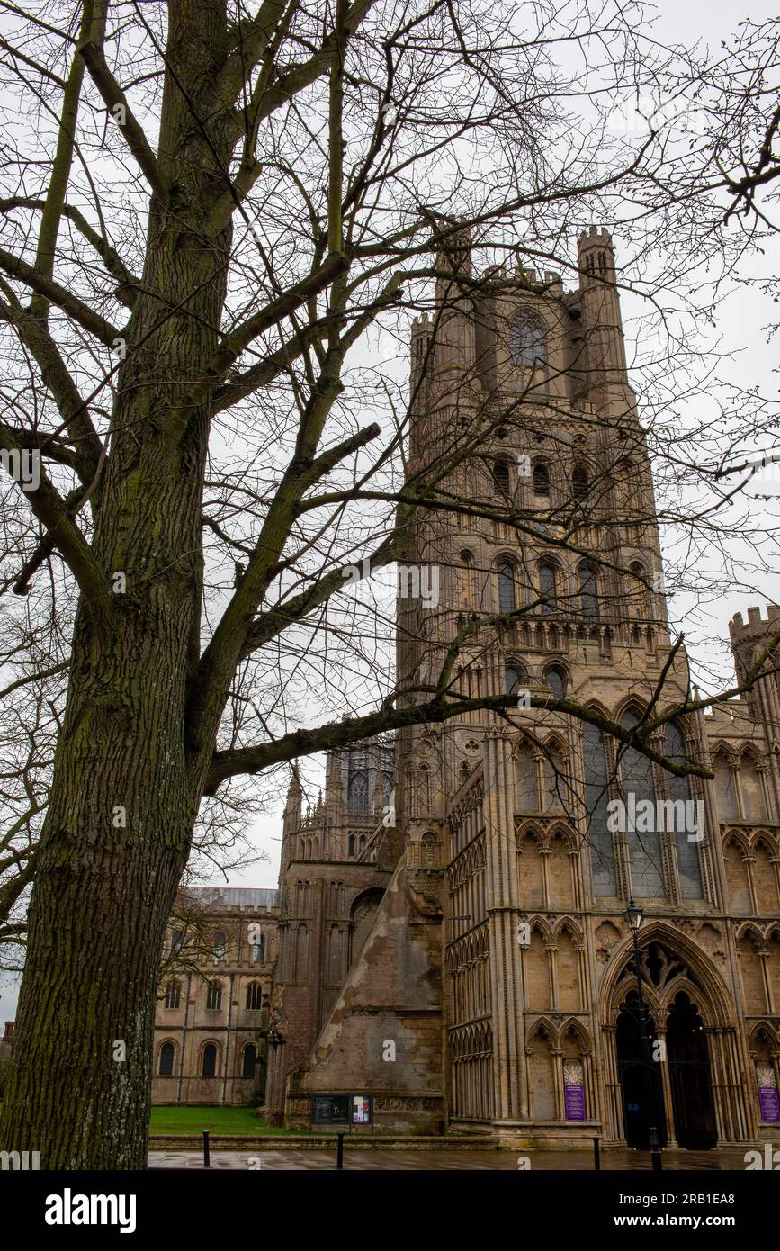 ely cathedral, cambridgeshire uk Stock Photo - Alamy