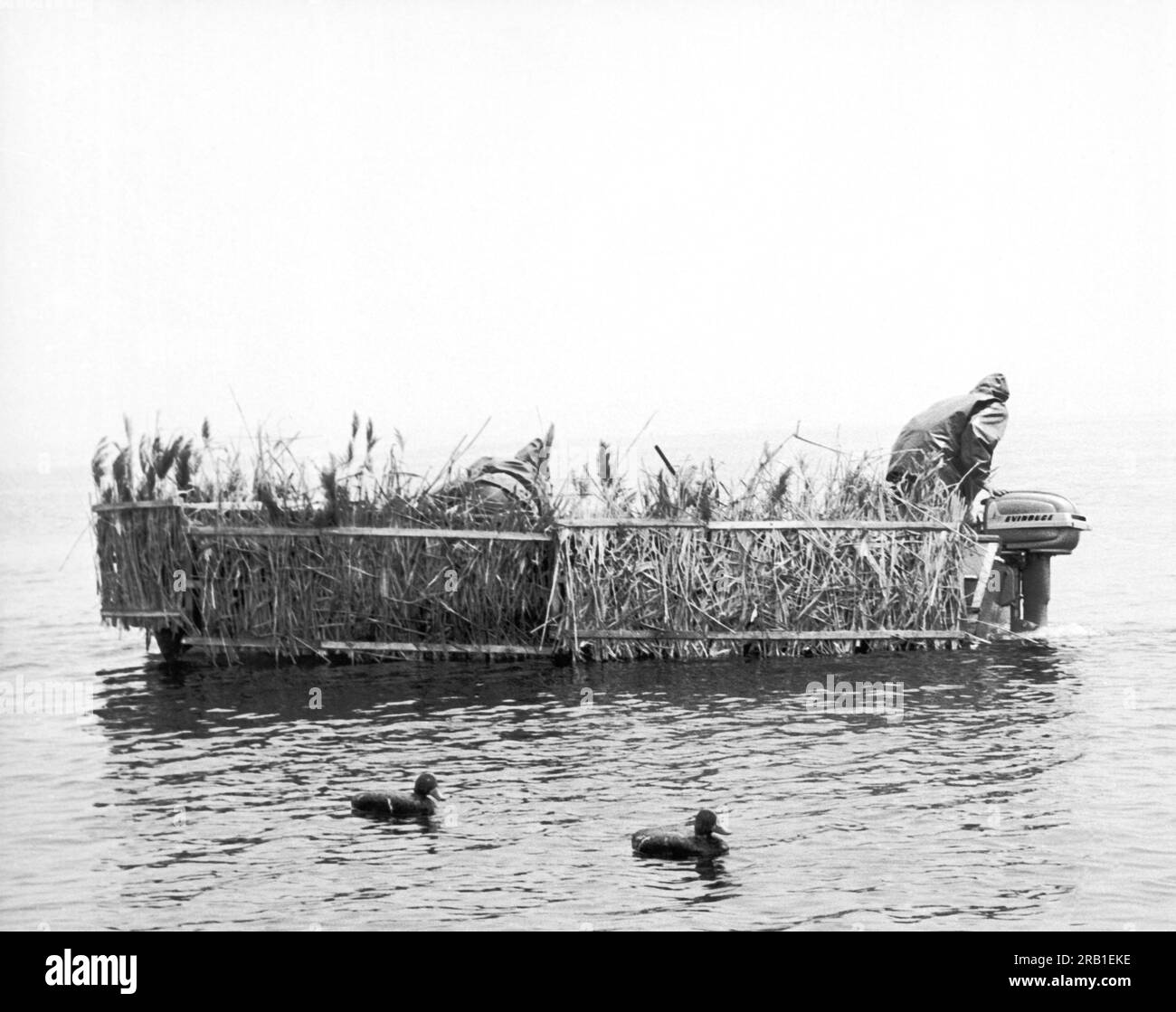 United States: c. 1958 Duck hunters in their motorized duck blind Stock ...