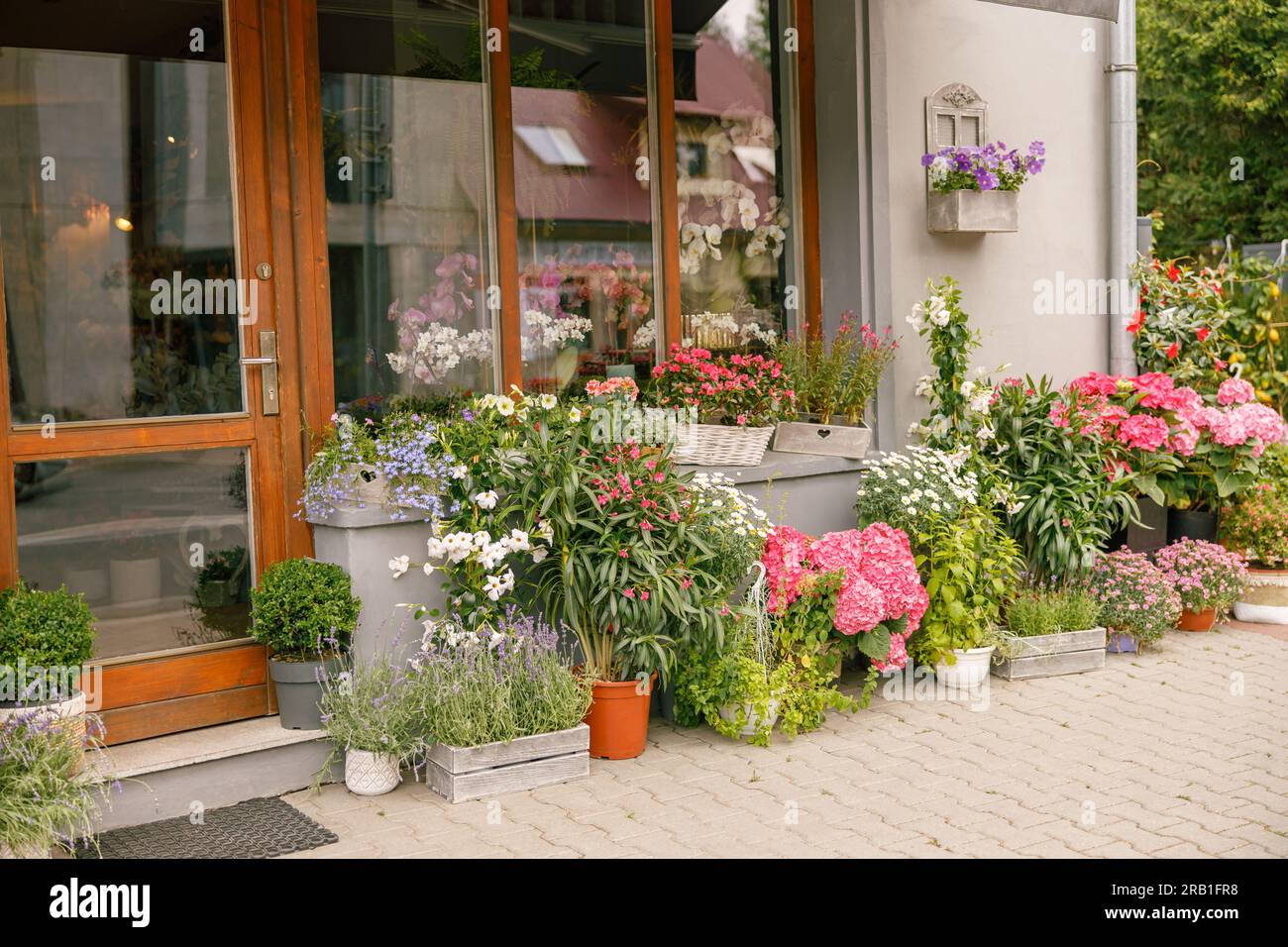 Facade of beautiful flower shop with different housplants and flowers ...