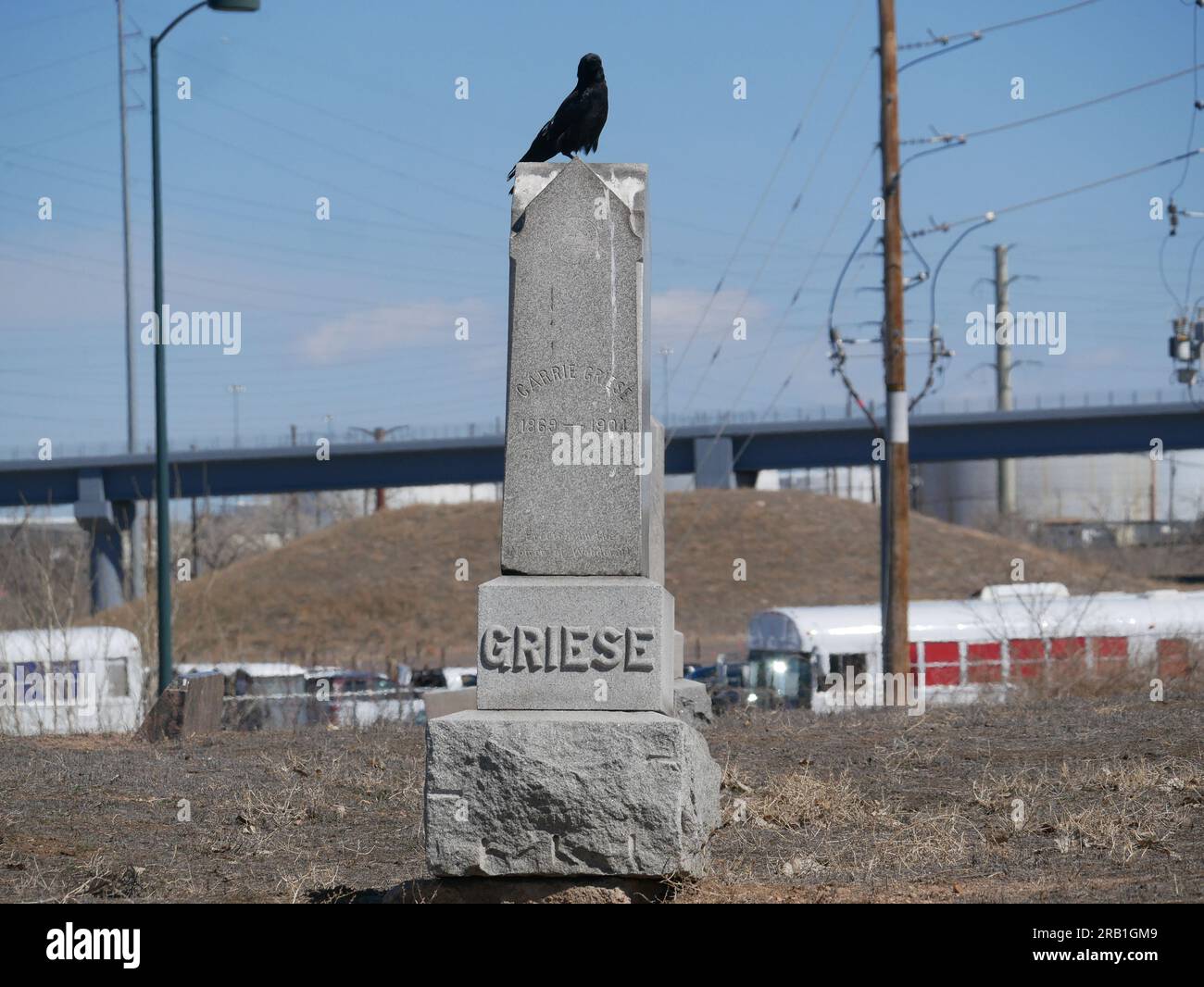 Raven on a gravestone monument Stock Photo - Alamy