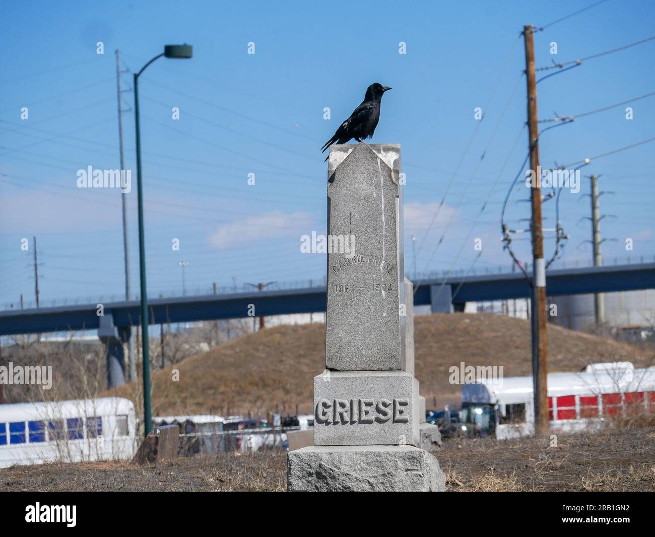 Raven on a gravestone monument Stock Photo - Alamy