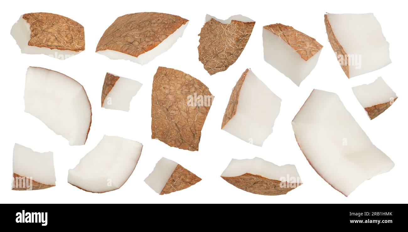 Flying coconut slices. Set of slices of coconuts on a white isolated ...