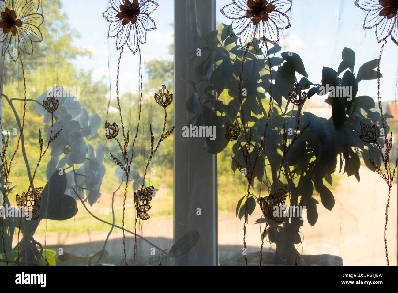 window view through curtains and flowers on the window, window with ...