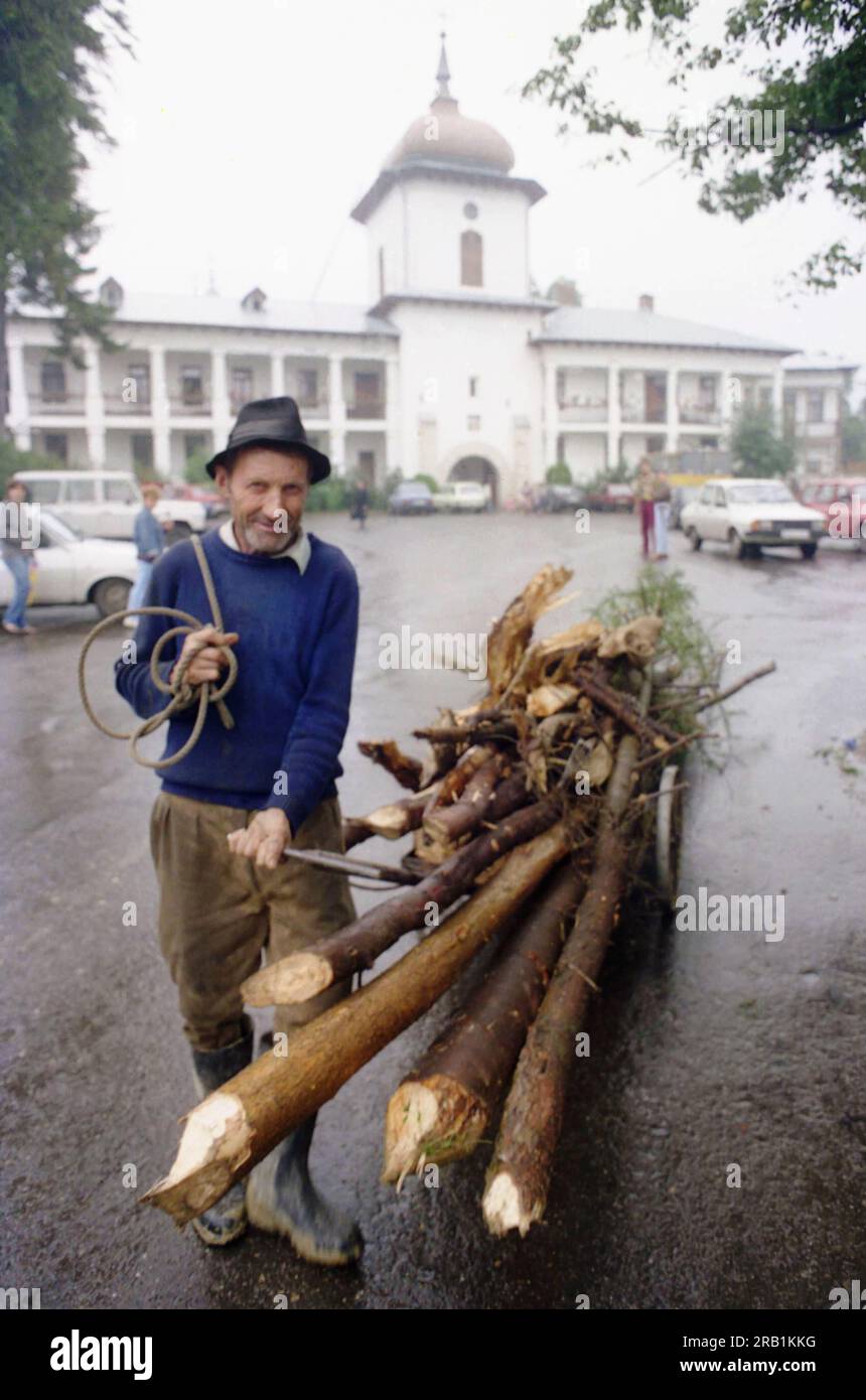 Carry tree trunks hi-res stock photography and images - Alamy