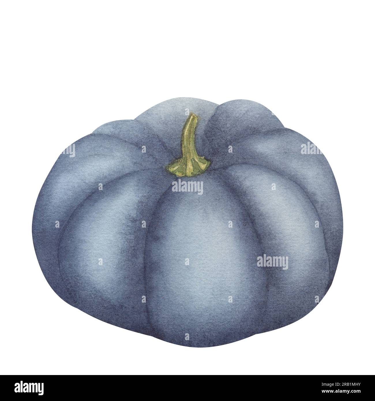 Blue pumpkin clipart. Thanksgiving Day or harvest festival. Hand drawn ...