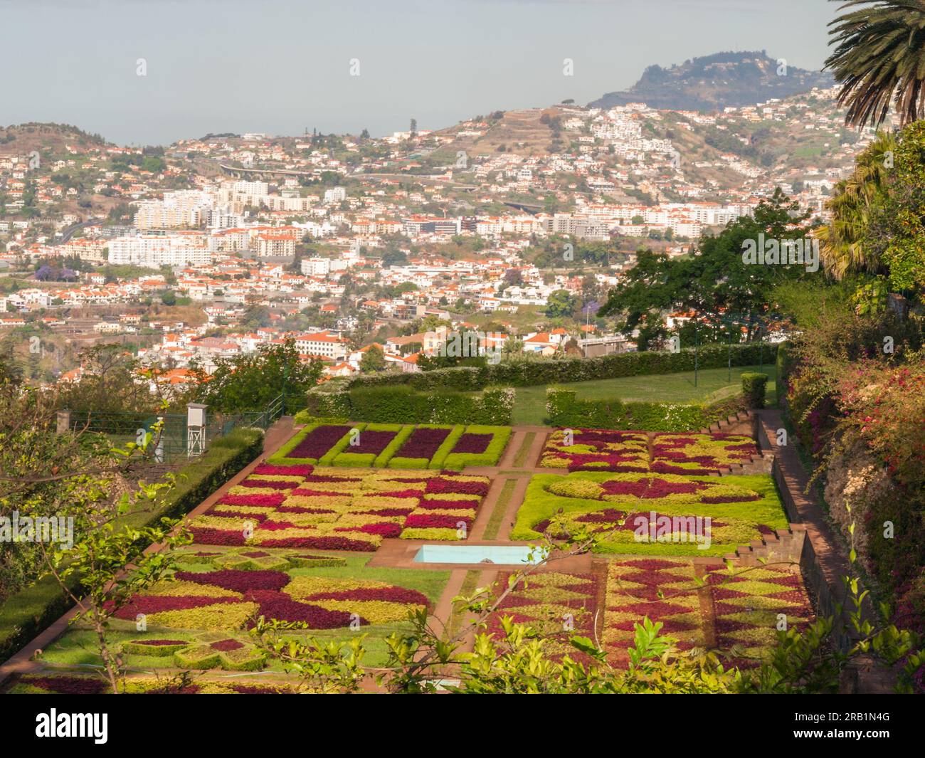 Bougainvillea madeira pink portugal hi-res stock photography and images ...