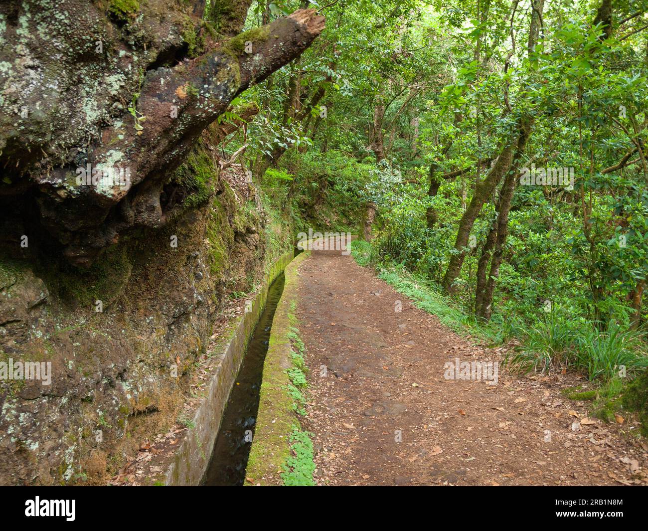 Levadas in Madeira, Portugal Stock Photo - Alamy
