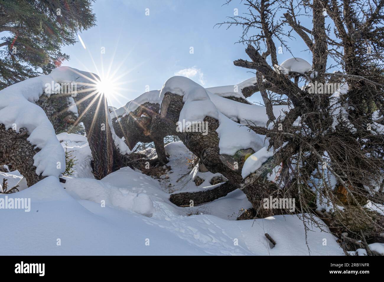 Church mount lebanon snow hi-res stock photography and images - Alamy